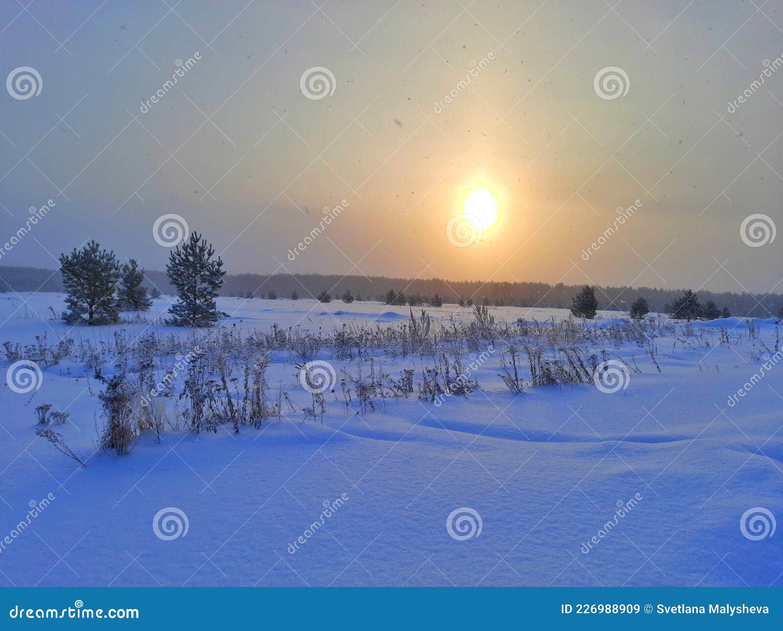 The Sun Gives Its Last Rays Stock Image - Image of wood, evening: 226988909