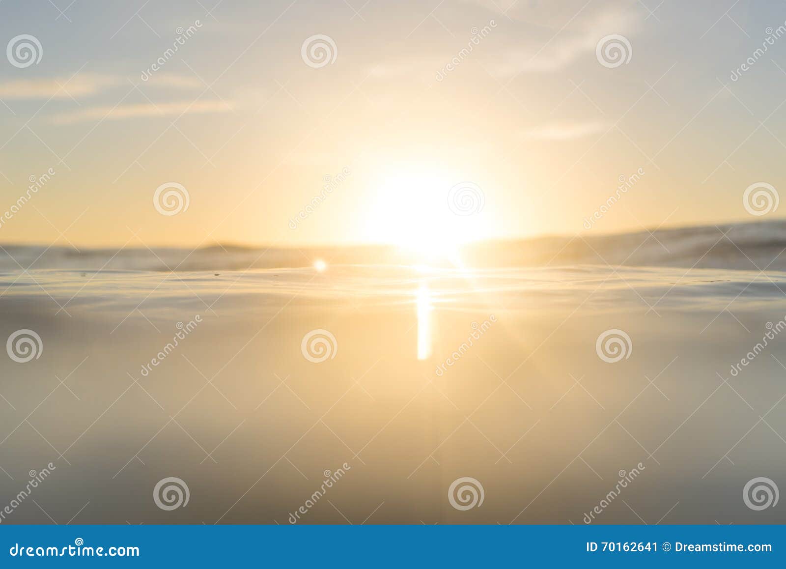 Sun glare stock image. Image of back, hunting, birds - 70162641