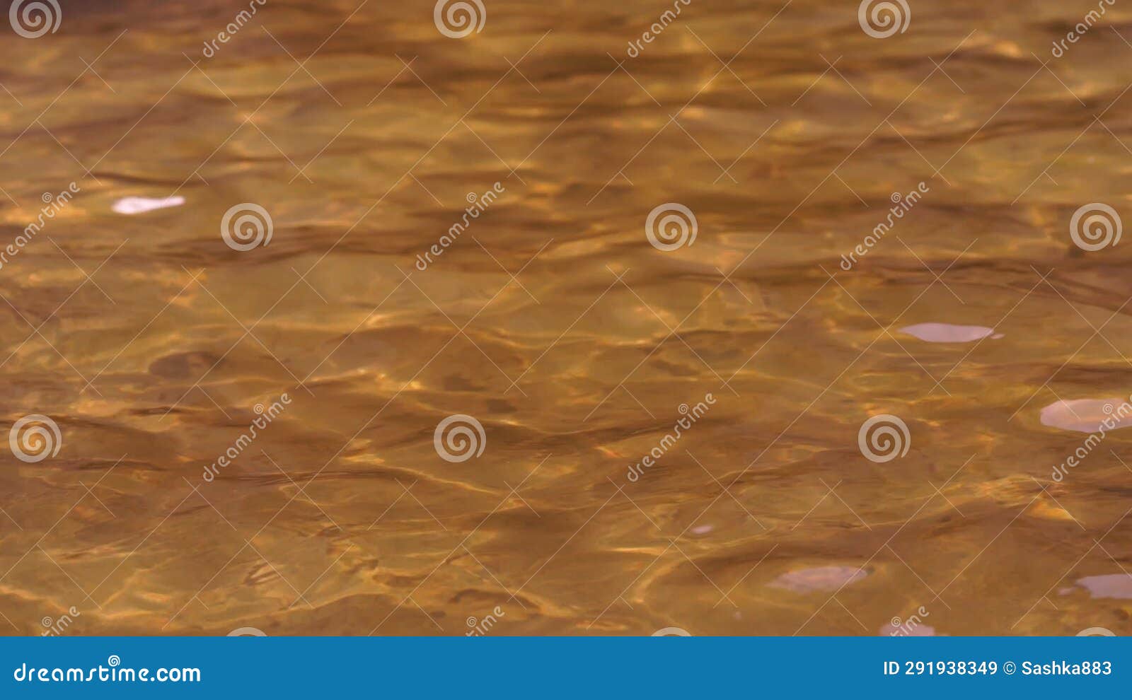 Sun Glints and Reflexes on the Undulating Surface of the Water in a ...