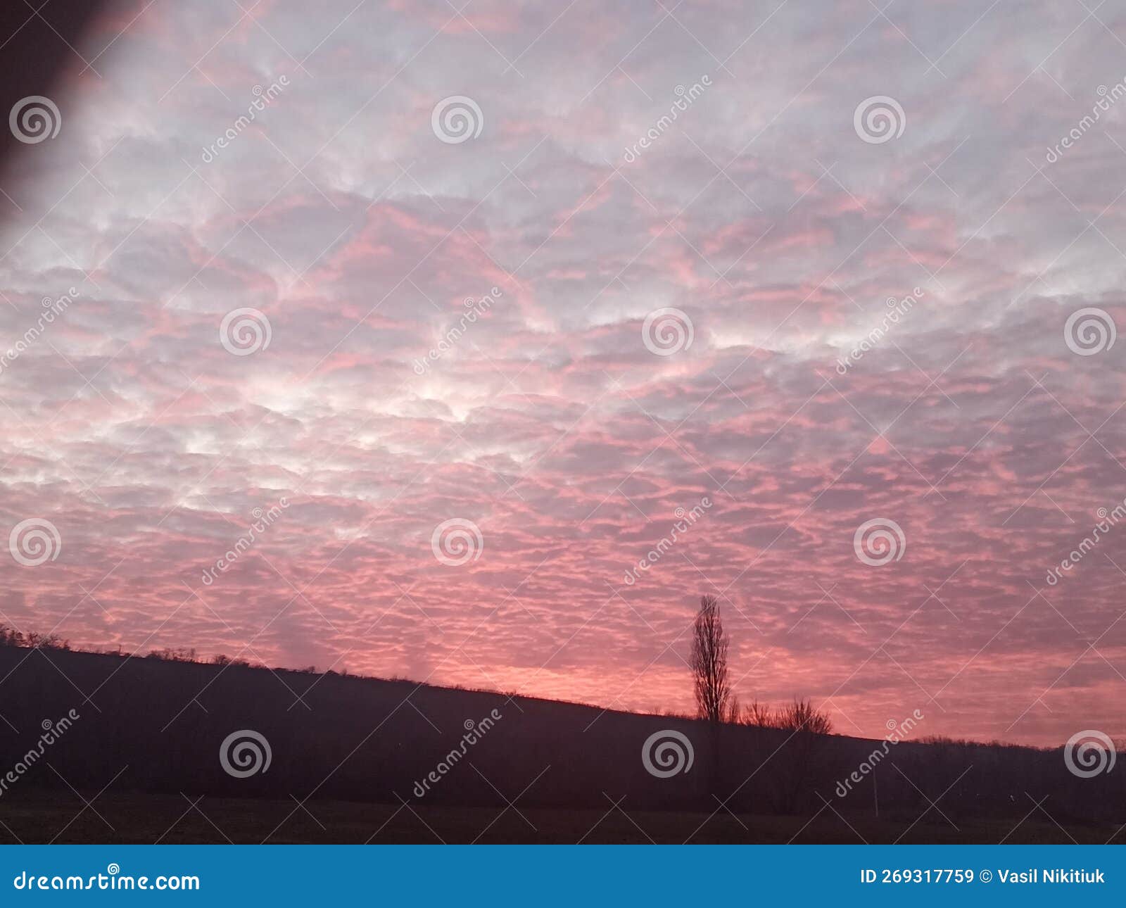 Sun go sleep nature stock image. Image of treas, nature - 269317759