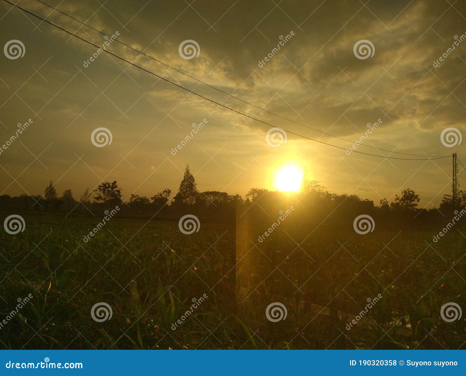 The sun goes down at night stock photo. Image of lighting - 190320358