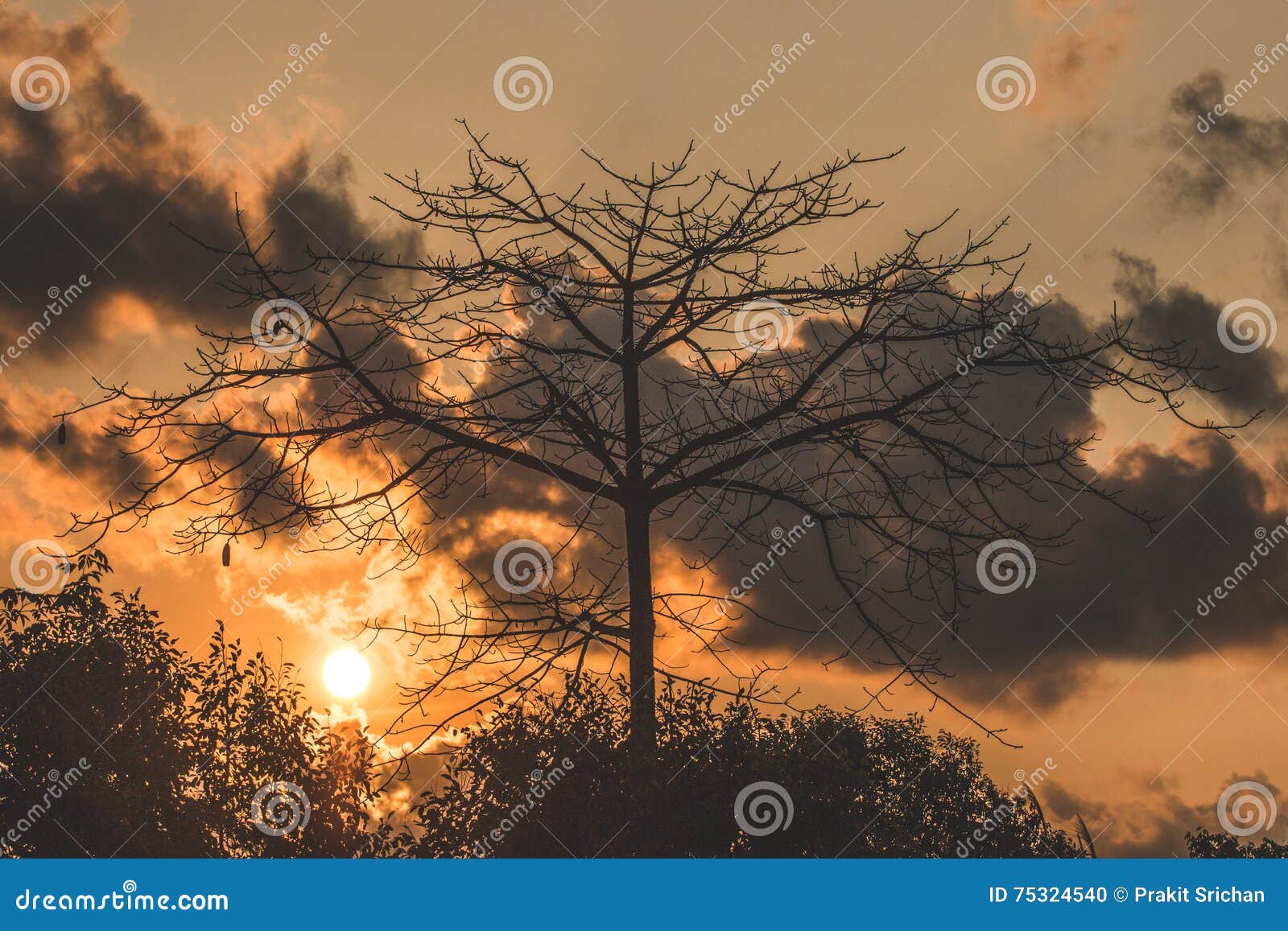 Sun stock photo. Image of science, graphic, beauty, solar - 75324540