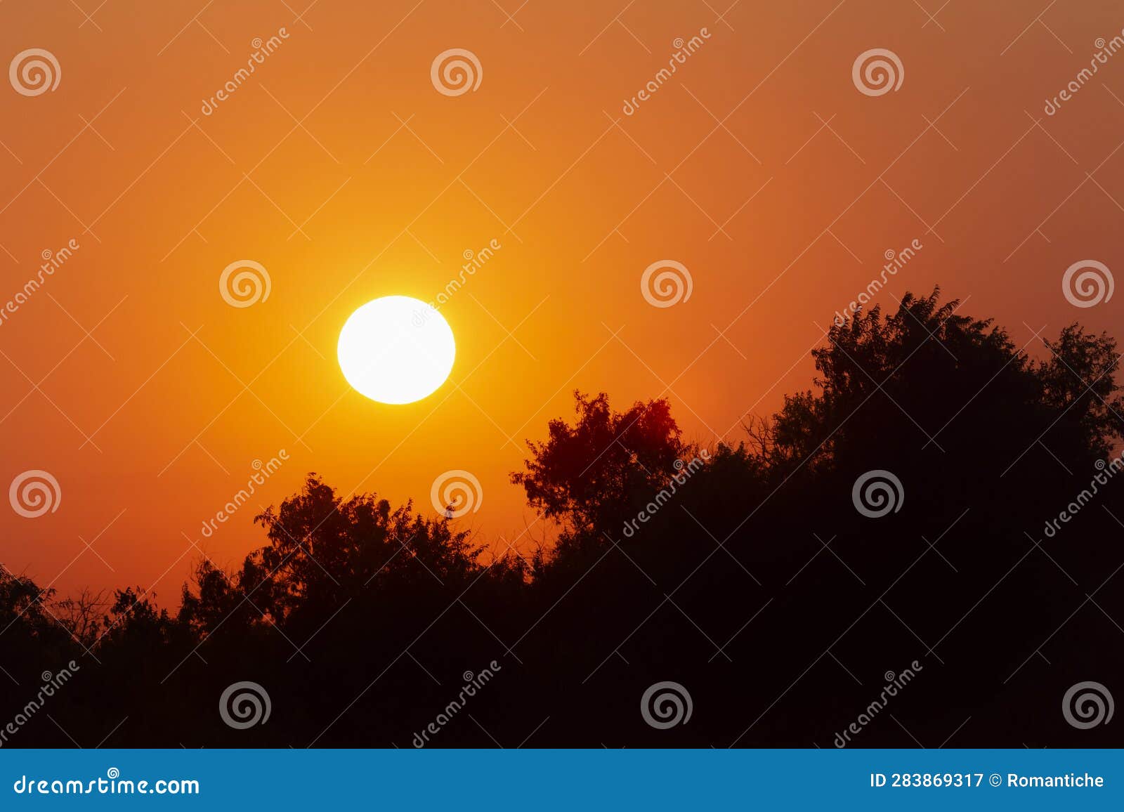 Sun Going Down Behind Trees at Sunset Stock Image - Image of scenery ...