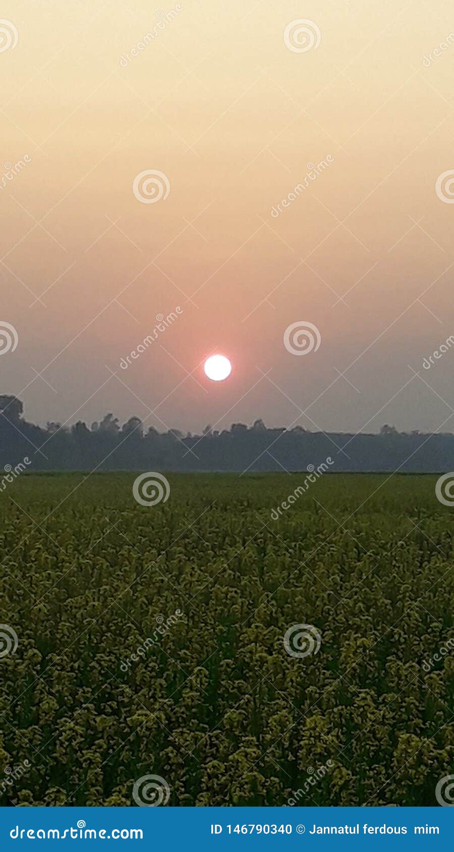 The Sun is Going Down for this Day Stock Photo - Image of friday: 146790340