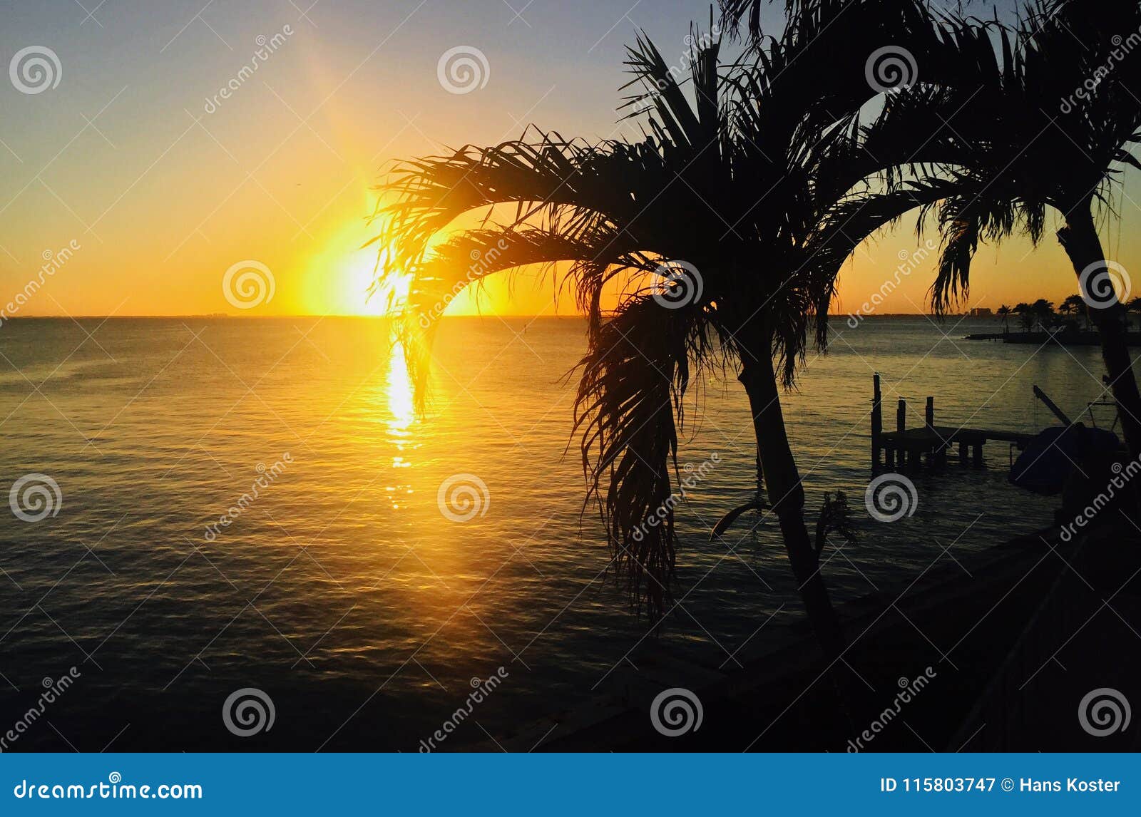 Sun Going Down in Key Biscayne Florida with Palm Trees in Front Stock ...