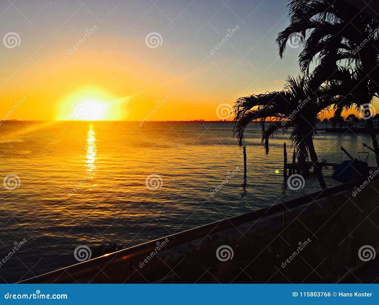 Sun Going Down in Key Biscayne Florida with Palm Trees in Front Stock ...