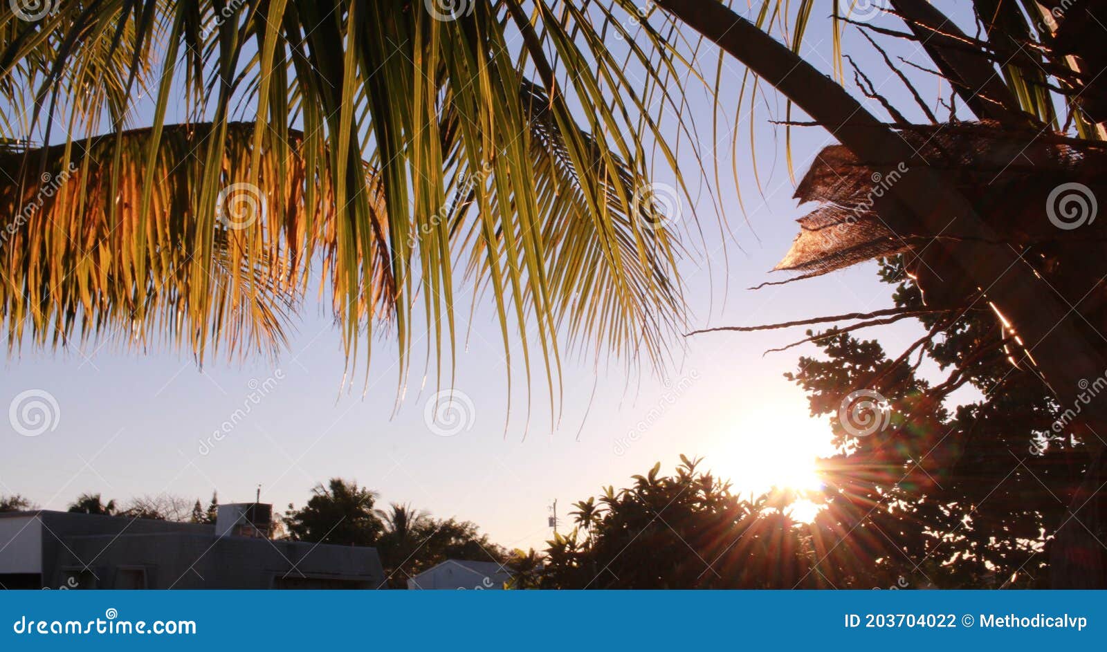 Sun going down - sun flare stock photo. Image of wide - 203704022