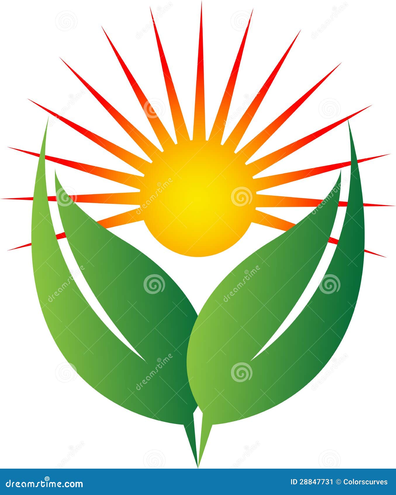 Sun and green stock vector. Illustration of close, growing - 28847731