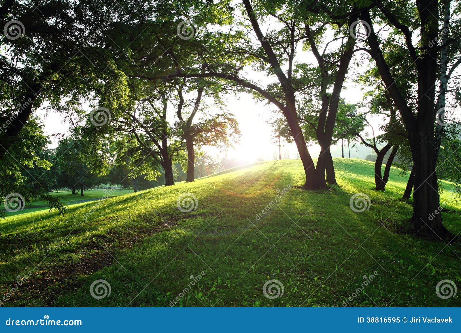Sun in the Green Spring Park Stock Image - Image of landscape, colorful ...