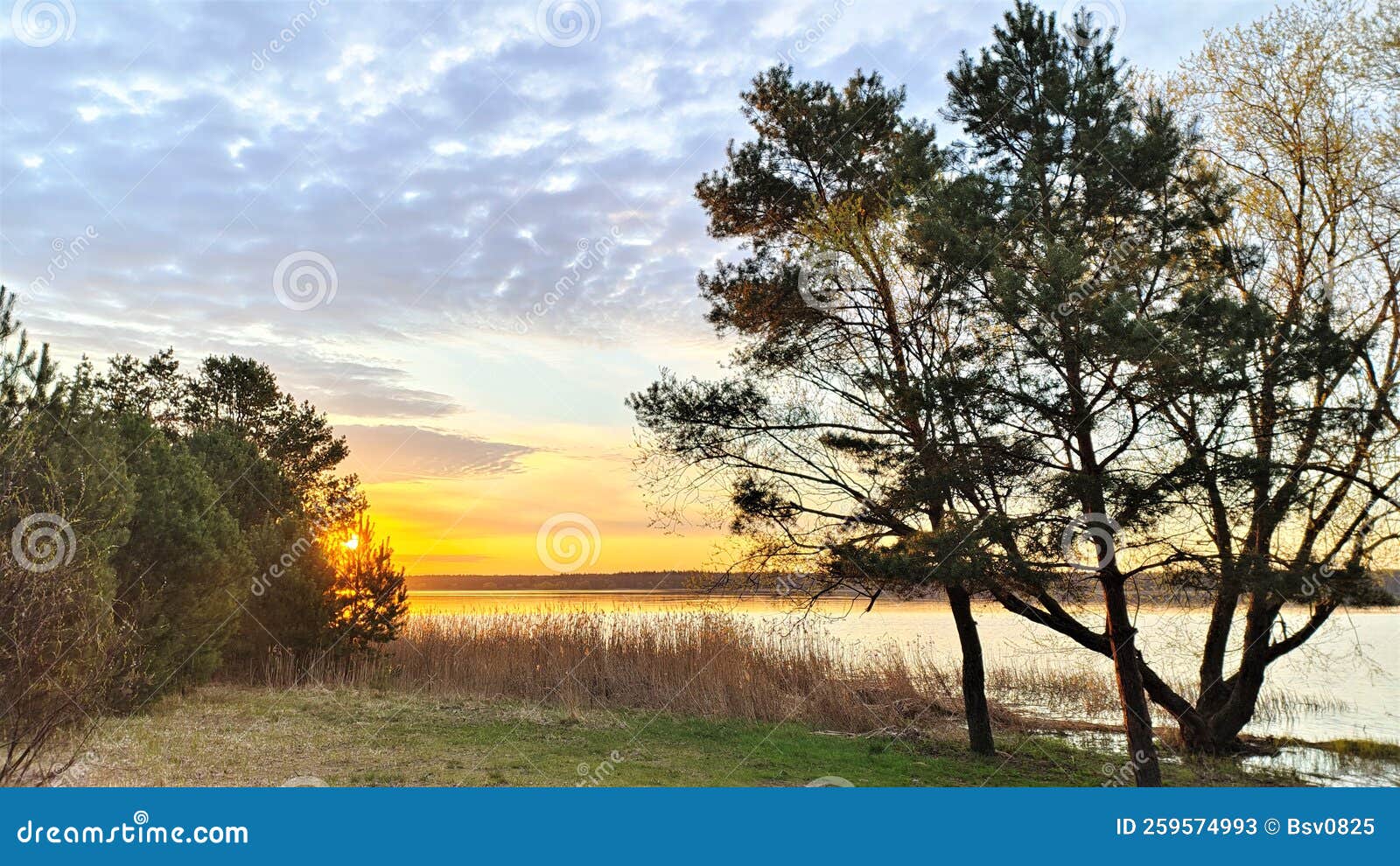 The Sun that Has Risen Over the Forest on the Far Shore of the Lake ...