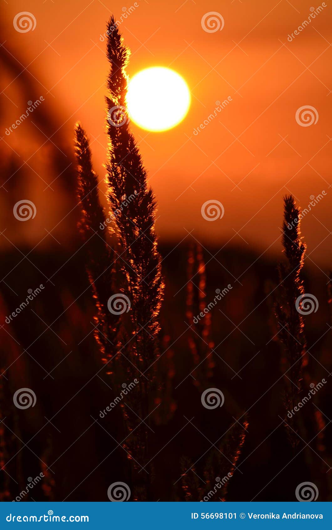 The Sun is Heading To the Sunset of Earing Stock Image - Image of cloud ...