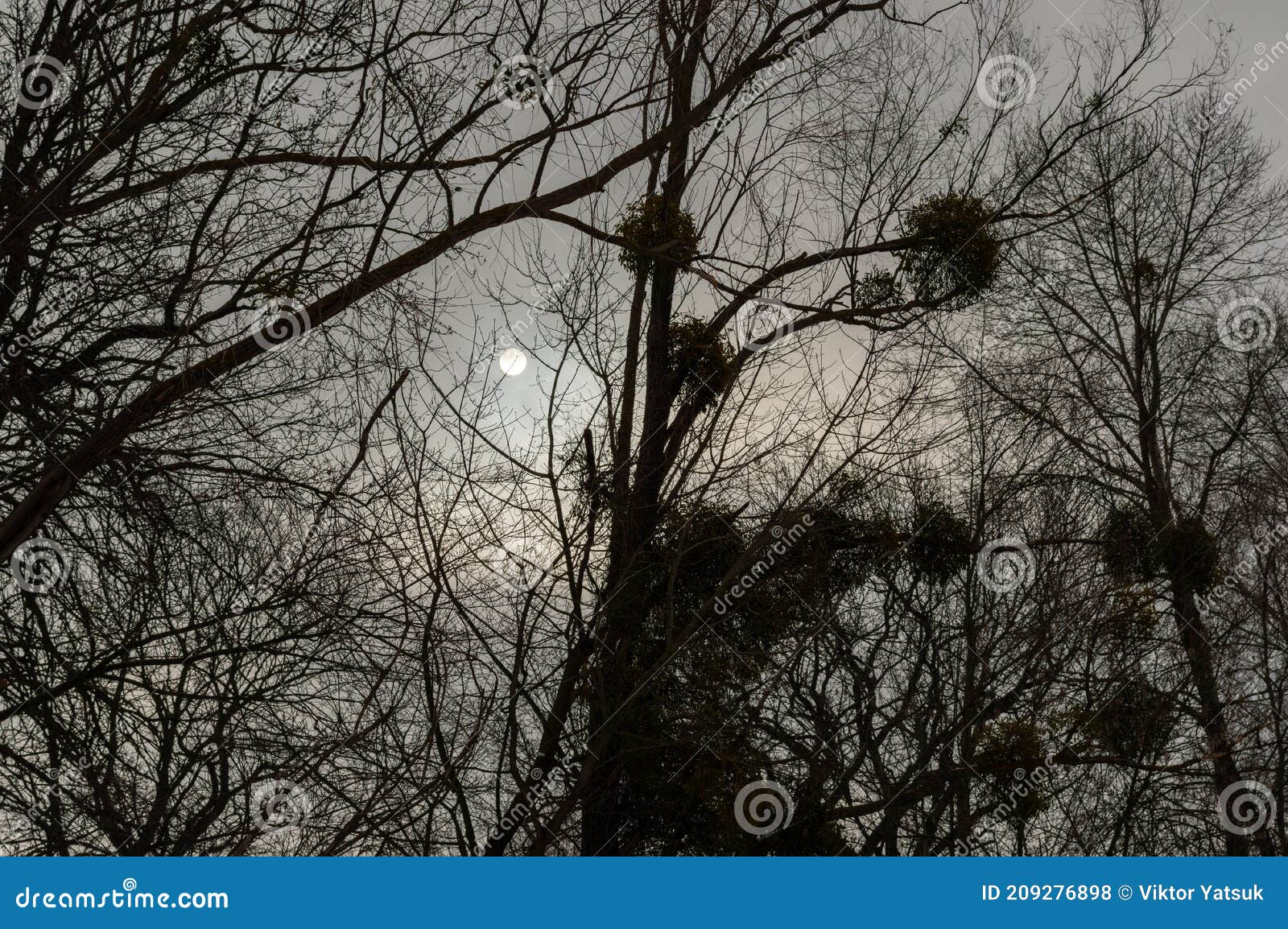 The Sun is Hidden Behind the Clouds. Overcast. the Sun is Behind the ...