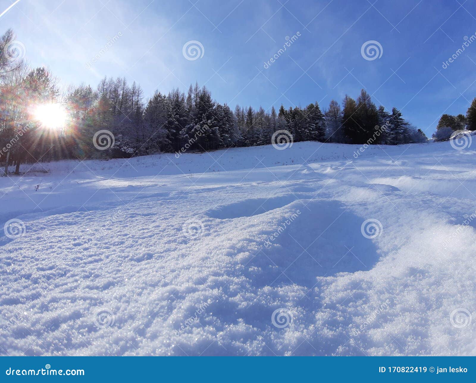 Sun Hide Snow Flakes Trees Hapines Stock Image - Image of snow, trees ...