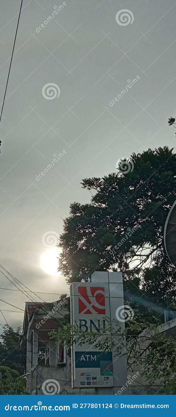 The Sun is Hiding Behind the Tree. Editorial Stock Image - Image of ...