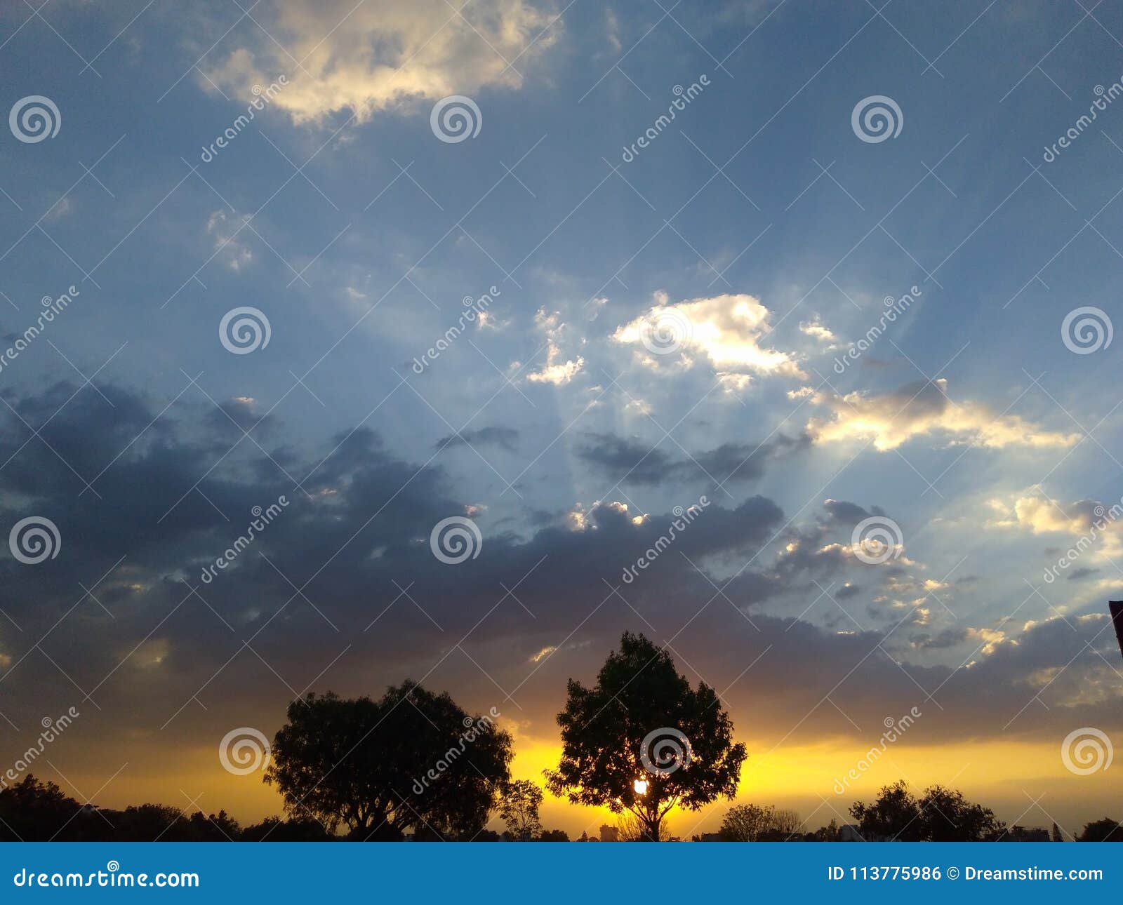 Helios`s Tree Sunset Landscape Stock Photo - Image of helios, tree ...