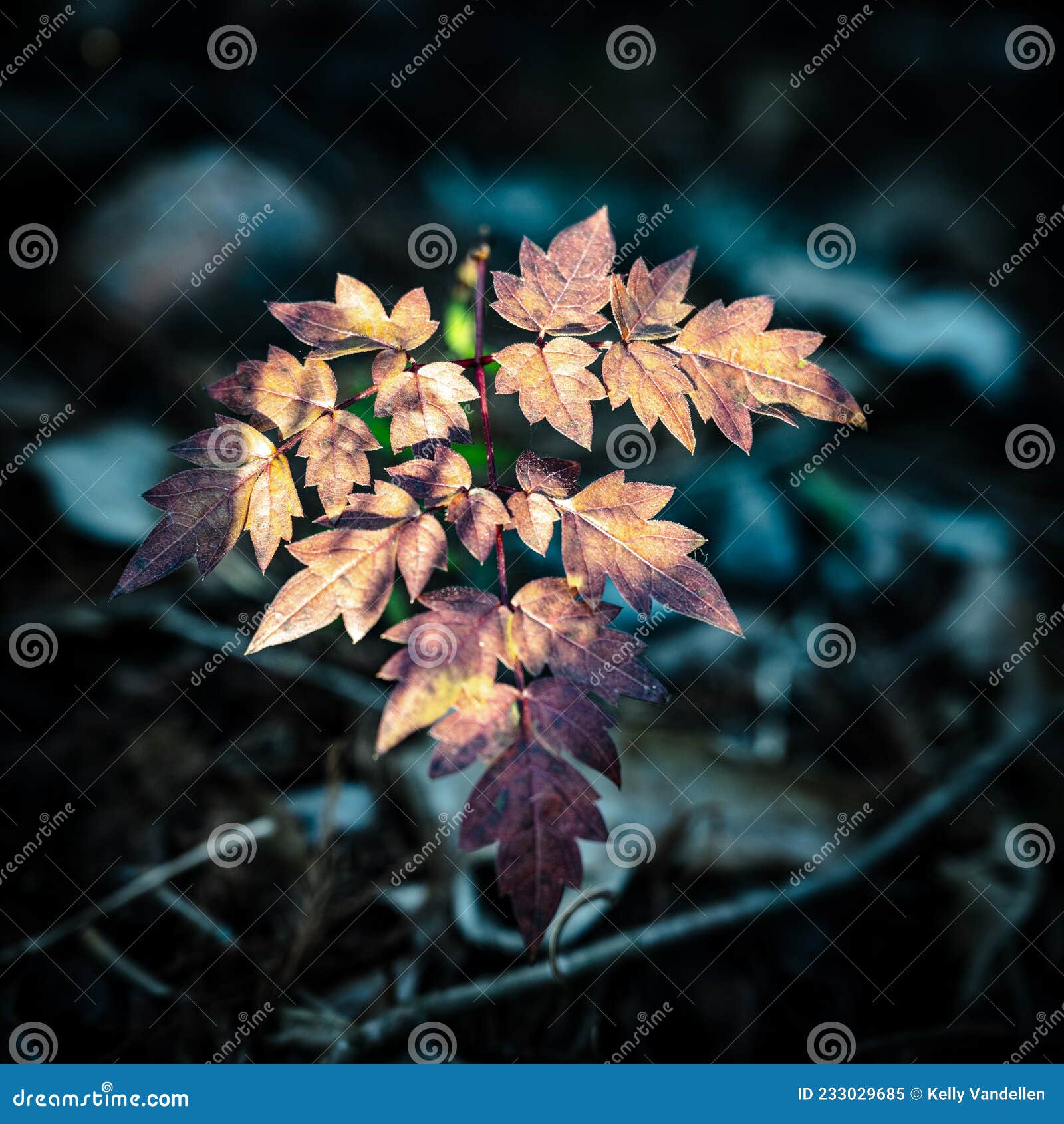 Lake Fousse Stock Photos - Free & Royalty-Free Stock Photos from Dreamstime