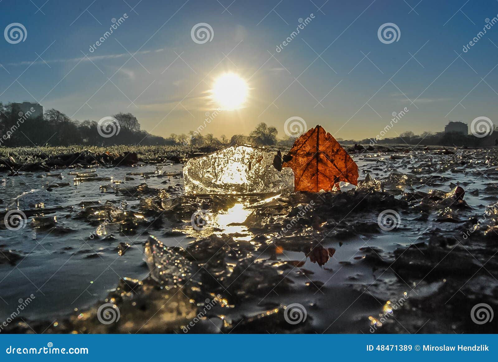 Sun&Ice stock image. Image of bluesky, life, nature - 48471389