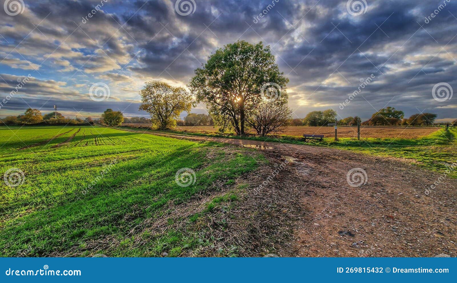 Sun illumination on field stock photo. Image of illumination - 269815432
