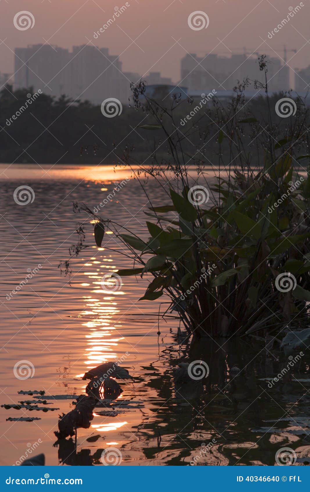 The Sun Inverted in the Water Stock Photo - Image of building ...