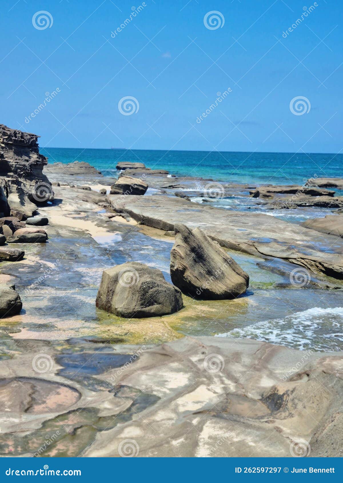 Sun, land and ocean stock image. Image of tree, painting - 262597297