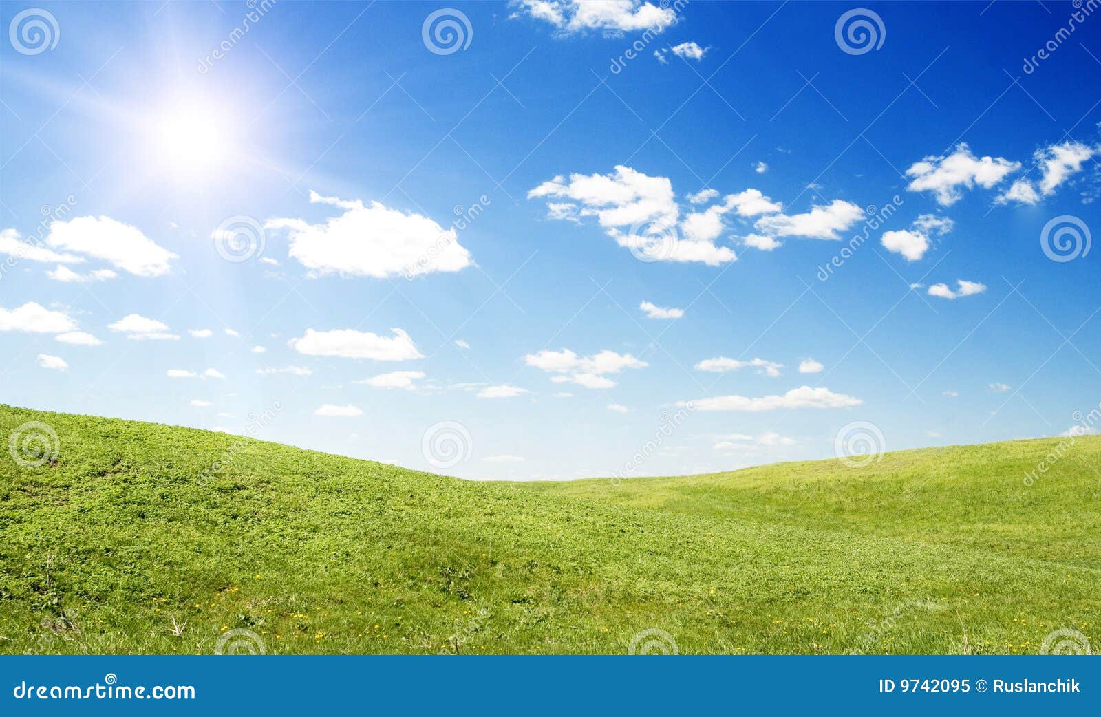 Sun landscape stock image. Image of spring, plant, green - 9742095