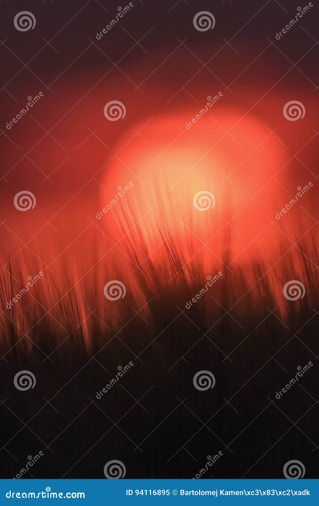 Sun in the Late Summer Light Stock Image - Image of park, nature: 94116895