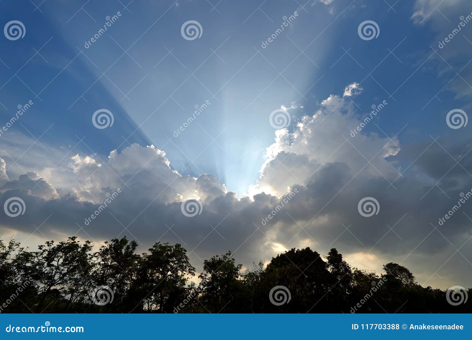 Sun lay on cloud stock photo. Image of nature, cloudscape - 117703388
