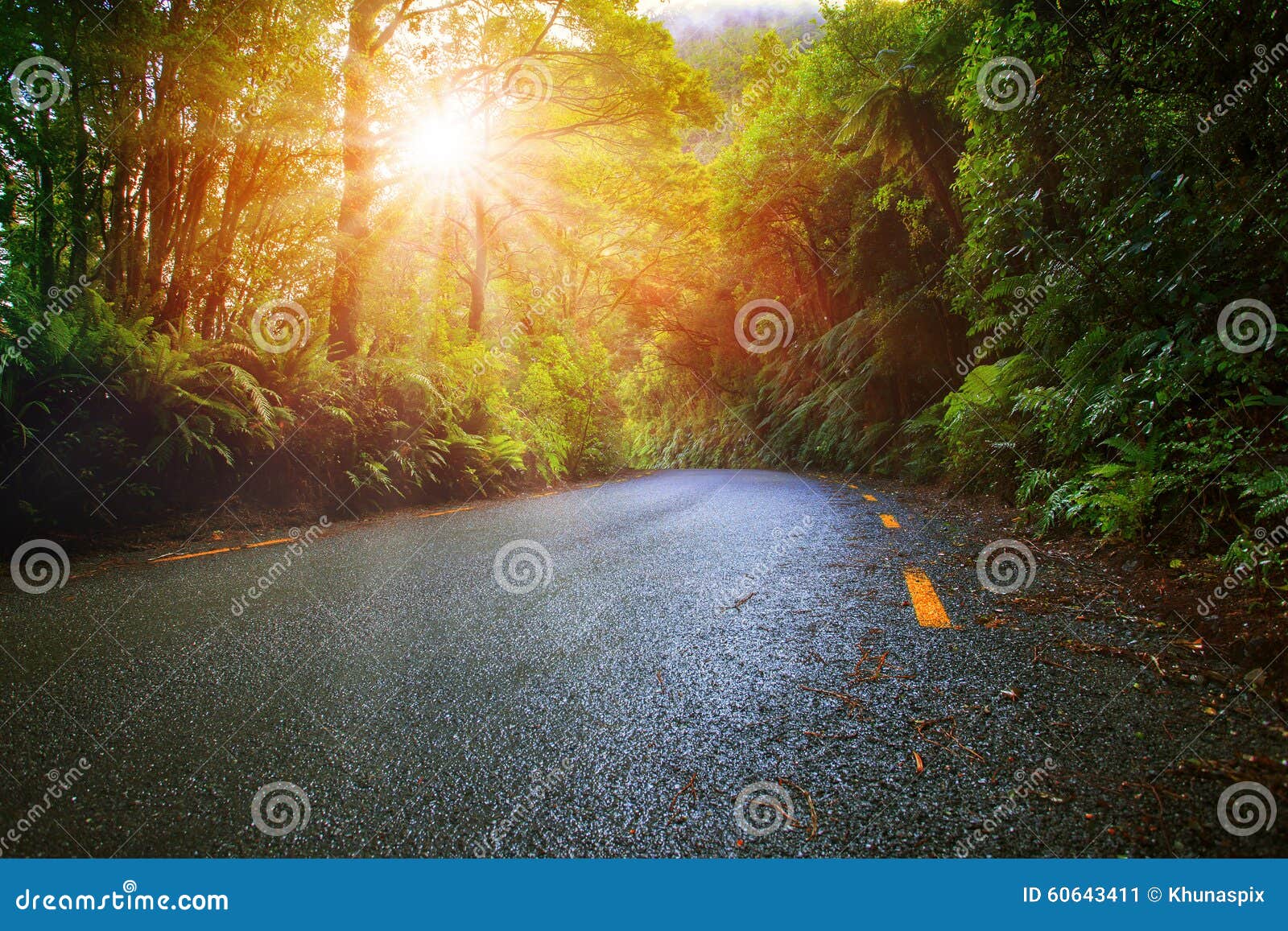 Sun Light in Moisture Mountain Rain Forest Perspective Asphalt R Stock ...