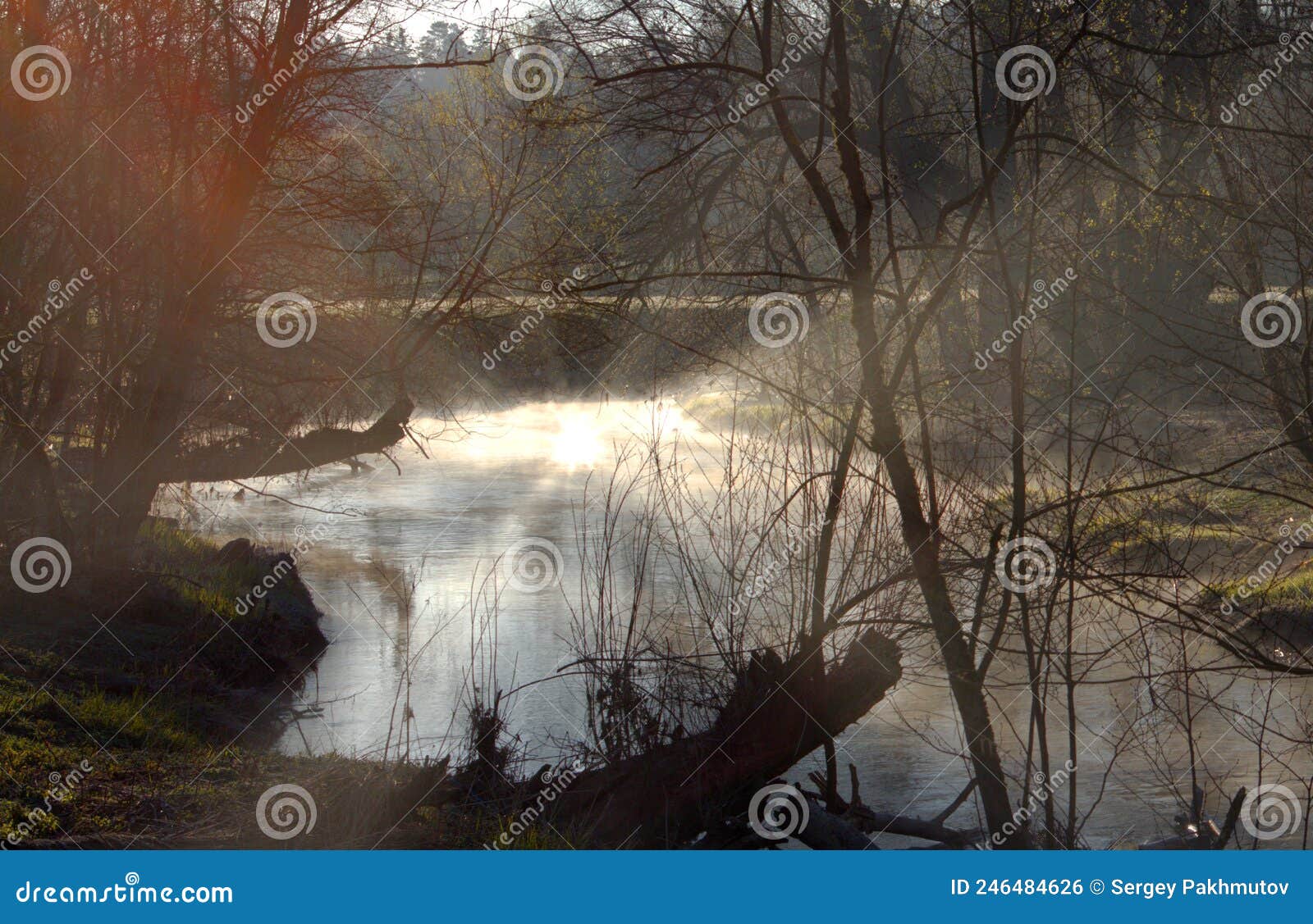 Sun light over river stock photo. Image of river, rivers - 246484626