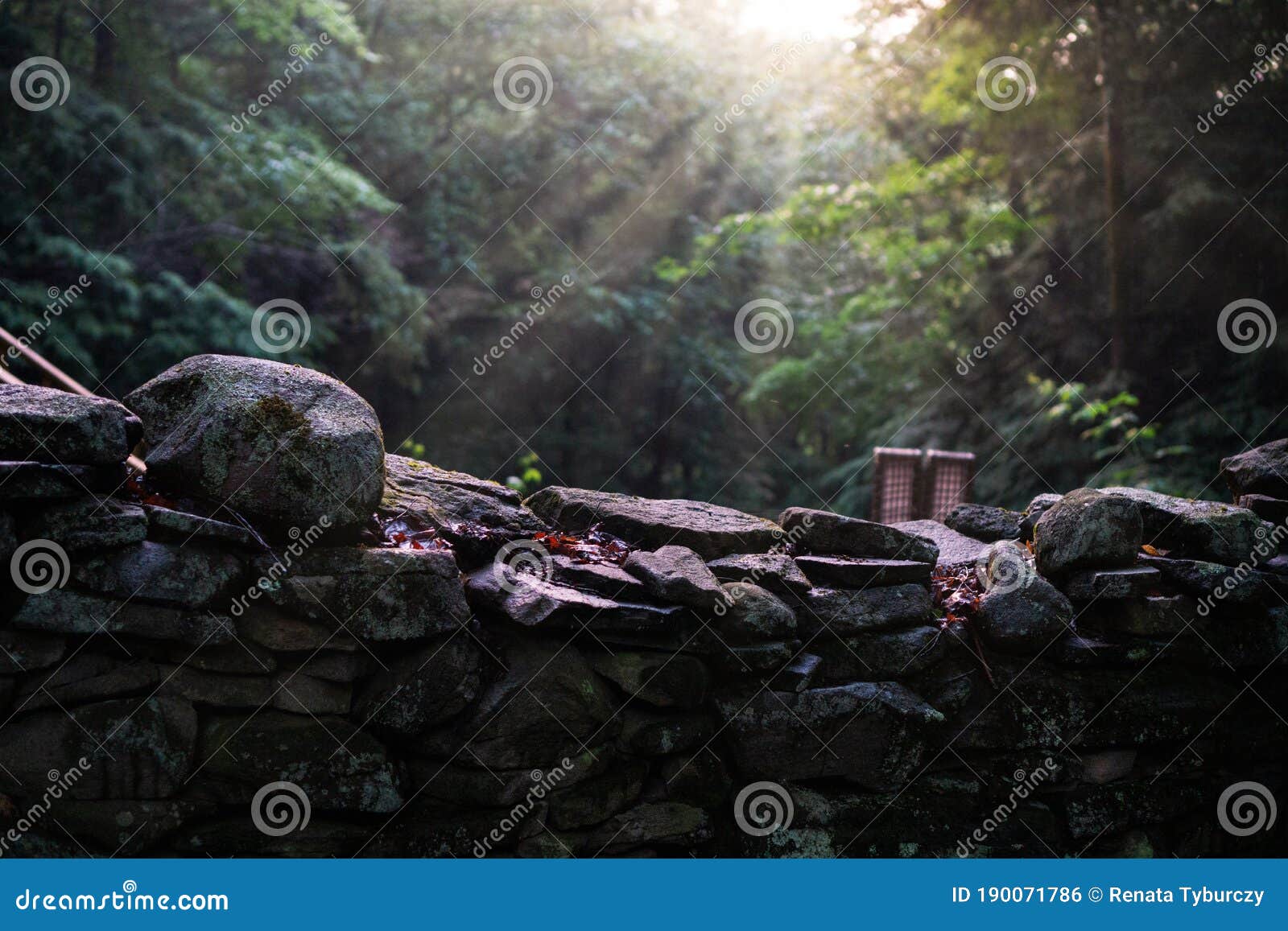 Sun Light Rays Coming through Trees into Stone Wall in Forest Stock ...