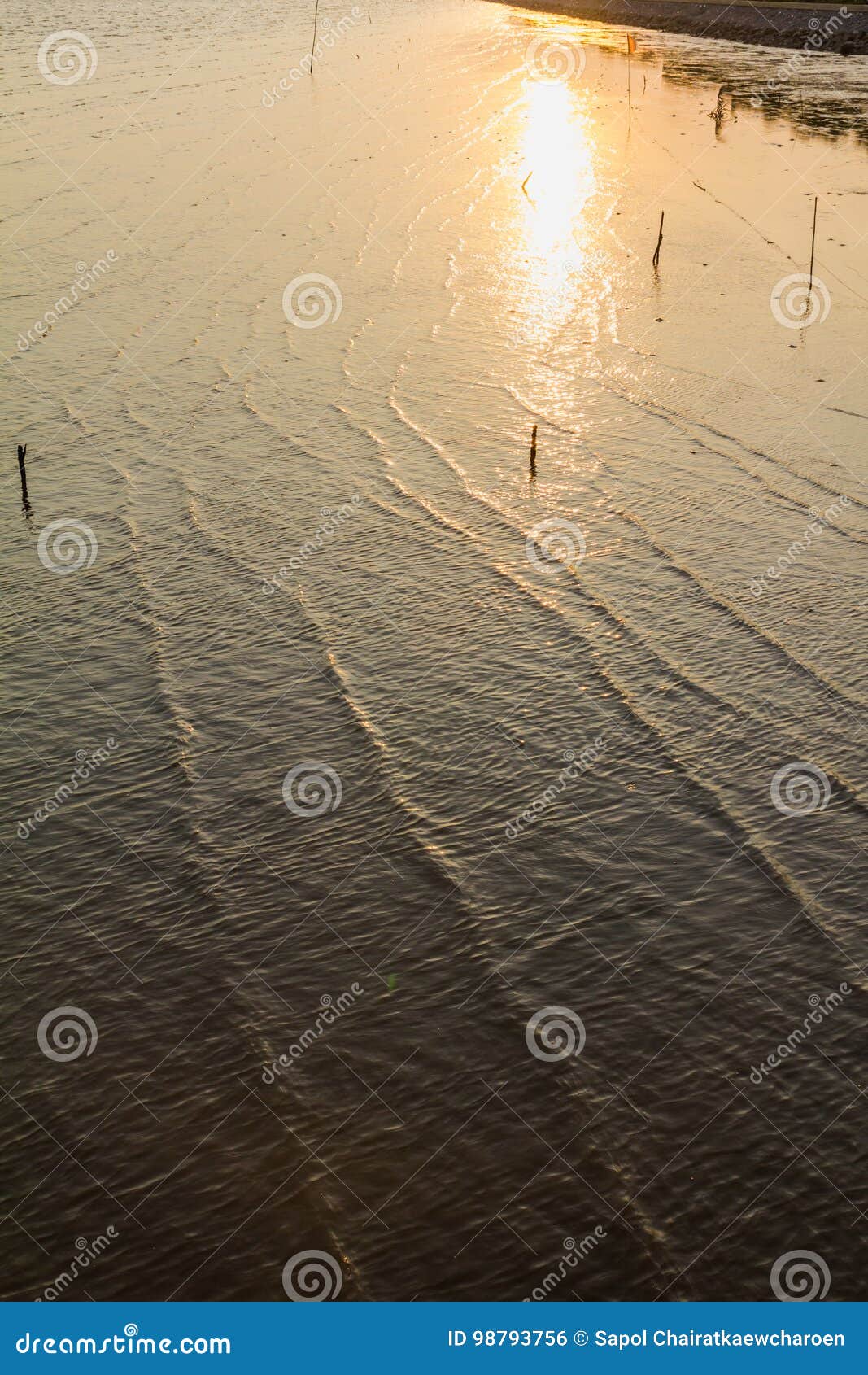 Sun Light Reflect on Sea Wave on the Beach Stock Photo - Image of coast ...
