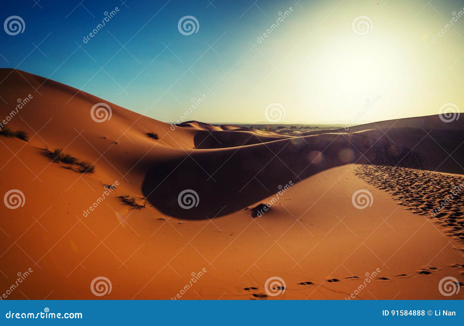 Sun light Sahara Desert stock photo. Image of arid, huellas - 91584888