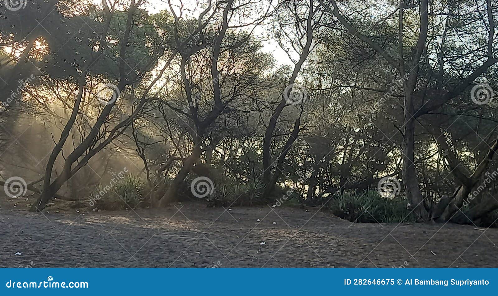Sun Light Shadow at Pantai Cemara Beach Stock Image - Image of ...
