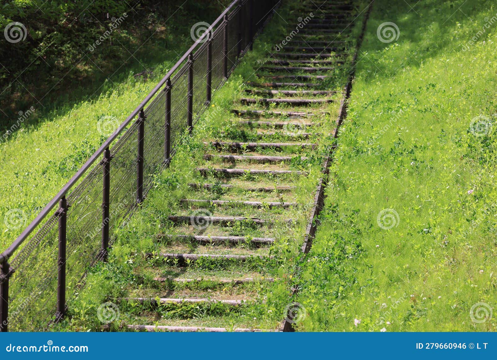 Sun Light on the Staircase with Grassland Stock Photo - Image of ...