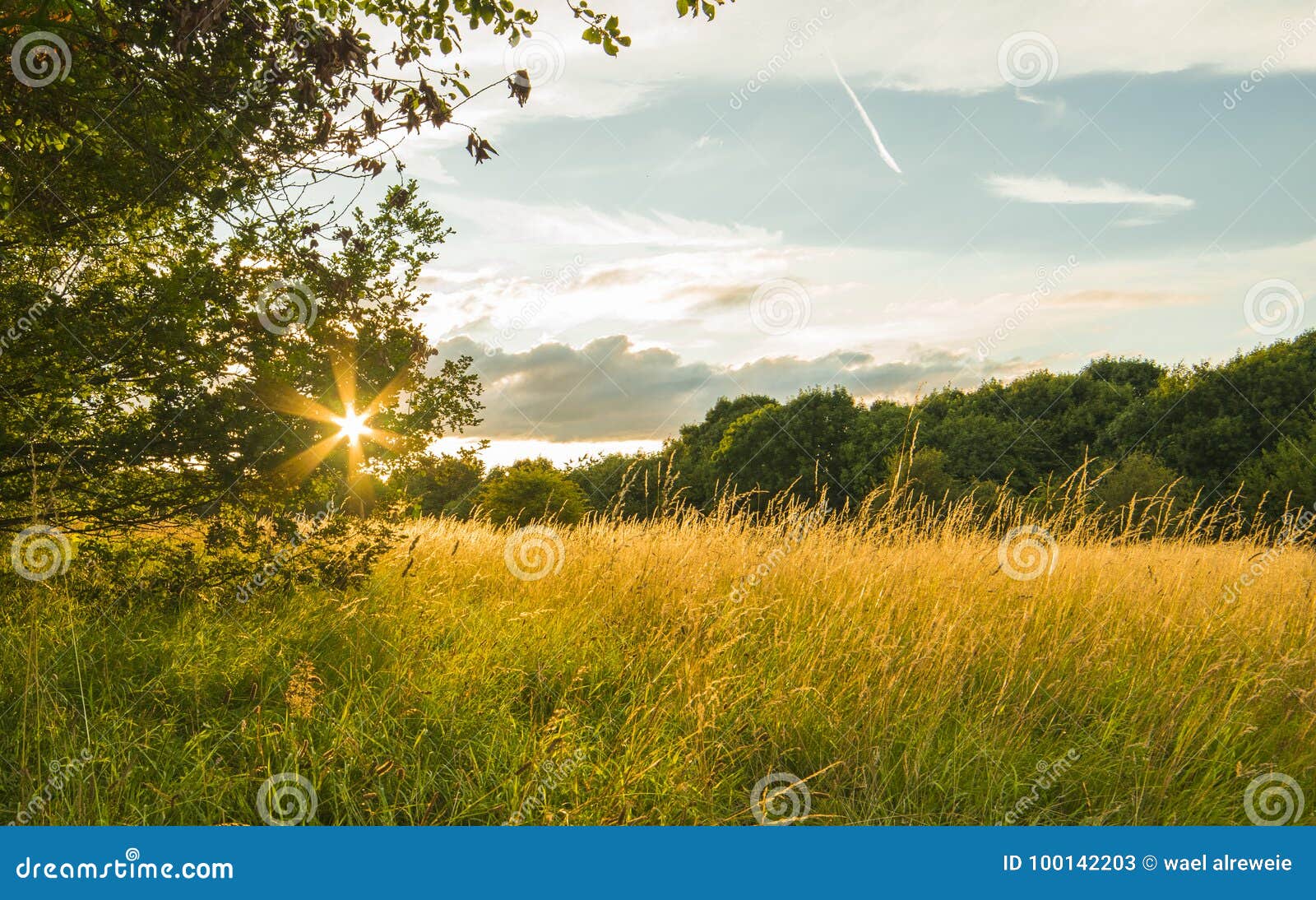 Sun Looking really As a Real Stay at Sunset Stock Image - Image of ...