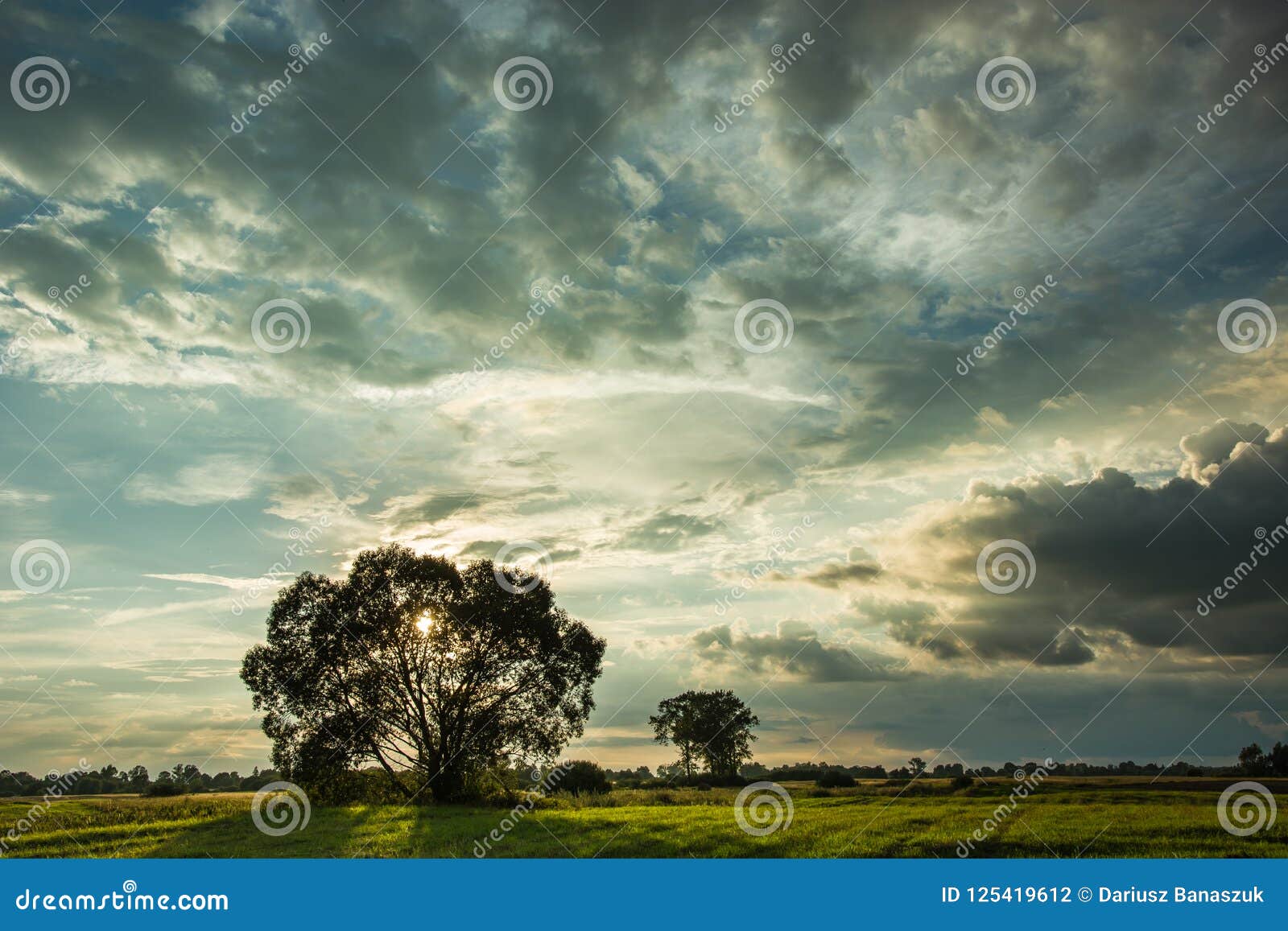 The Setting Sun Behind a Tree in the Meadow and Dark Clouds in T Stock ...