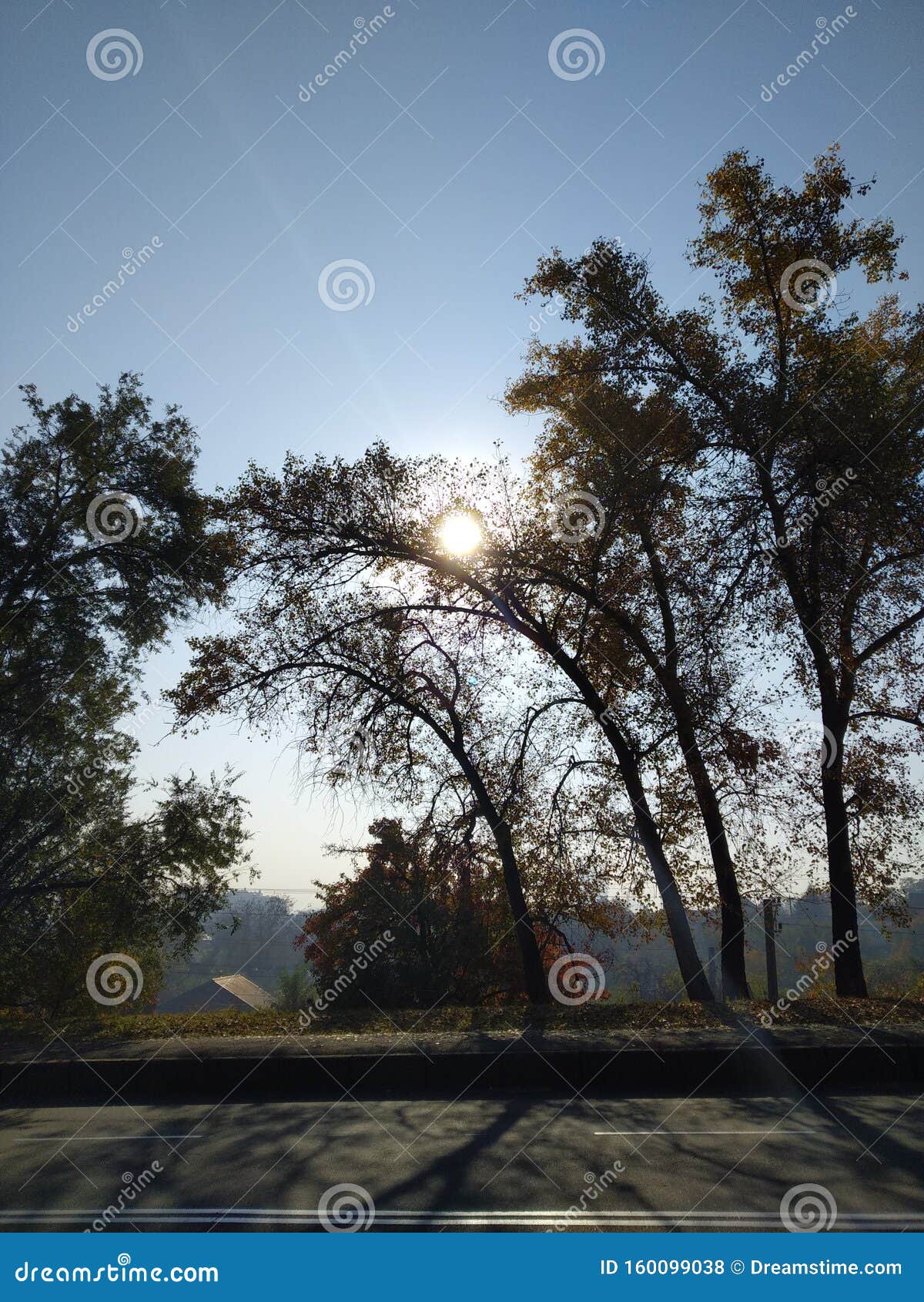 Sun magic stock photo. Image of sunrays, sunlight, magic - 160099038