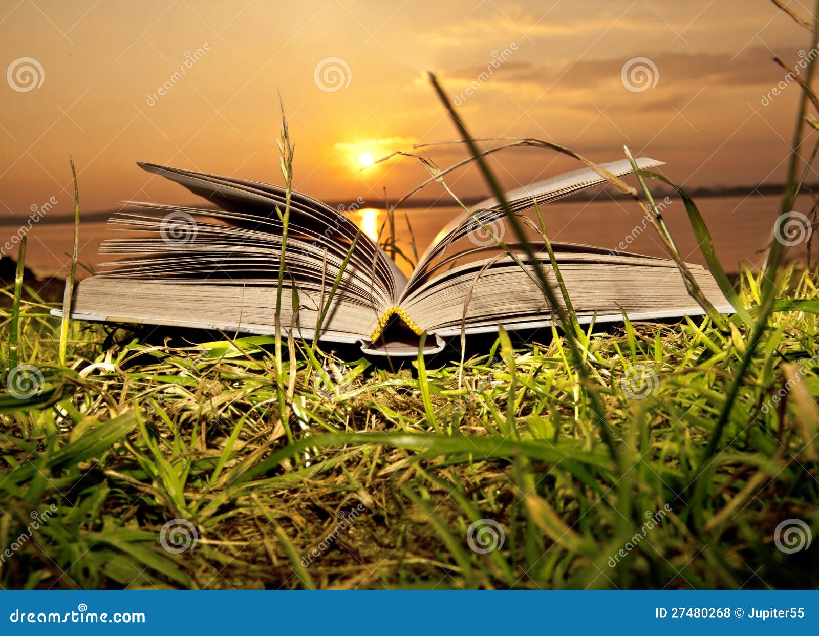 The sun magical books stock photo. Image of coast, nature - 27480268