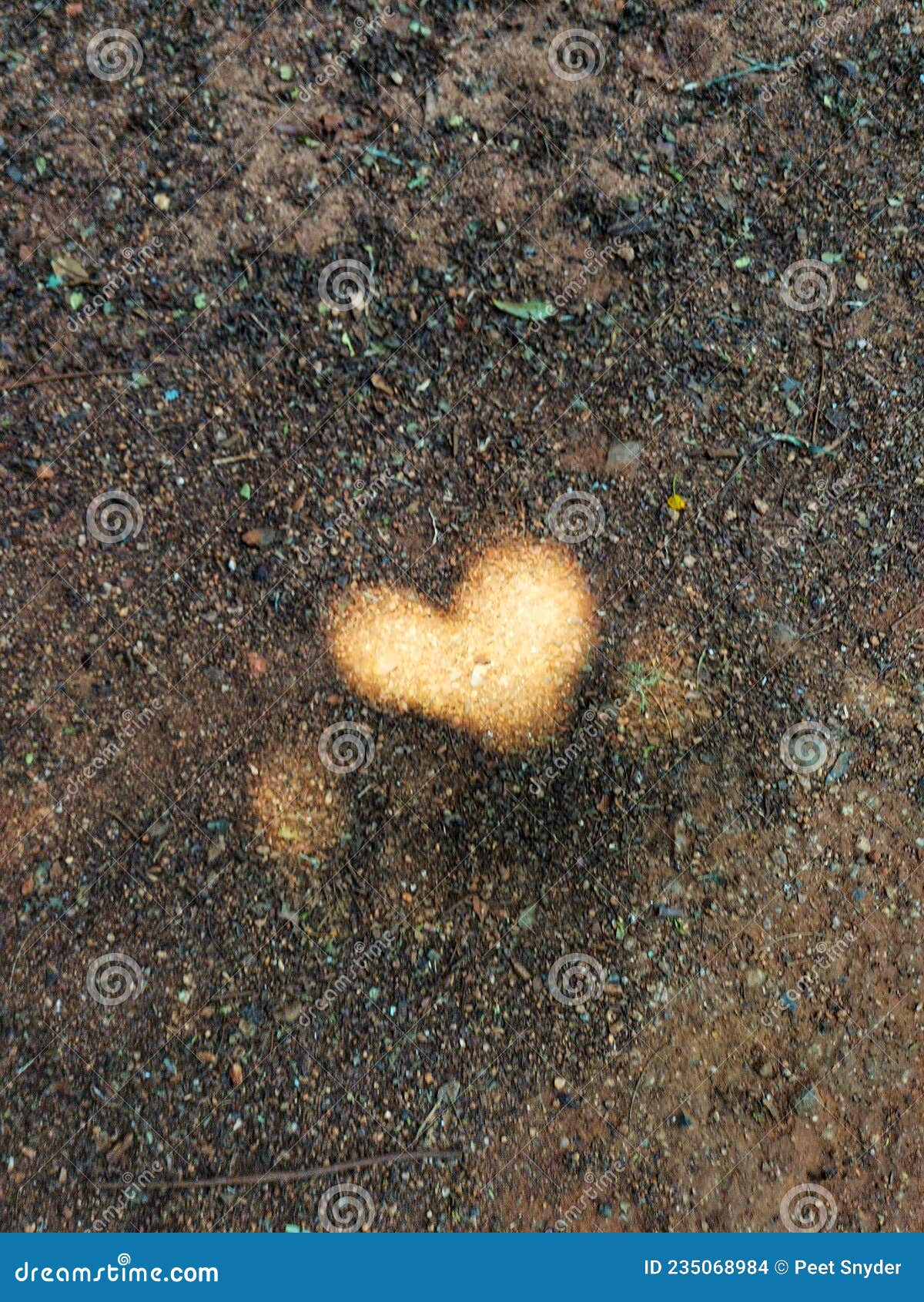 Sun Making a Heart Shape in the Shade through a Tree Stock Photo ...
