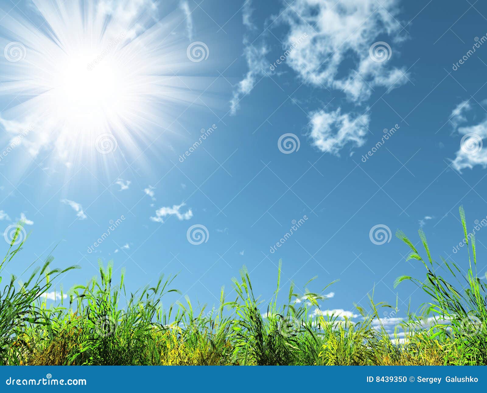 Sun and meadow stock photo. Image of nature, beauty, clouds - 8439350