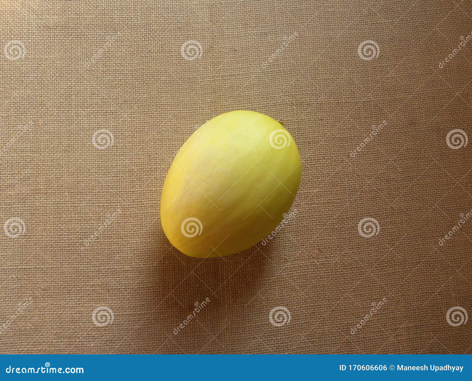 Sun melon fruit isolated stock photo. Image of berry - 170606606