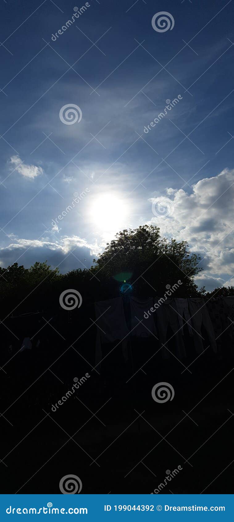 Sun in the morning stock photo. Image of trees, morning - 199044392