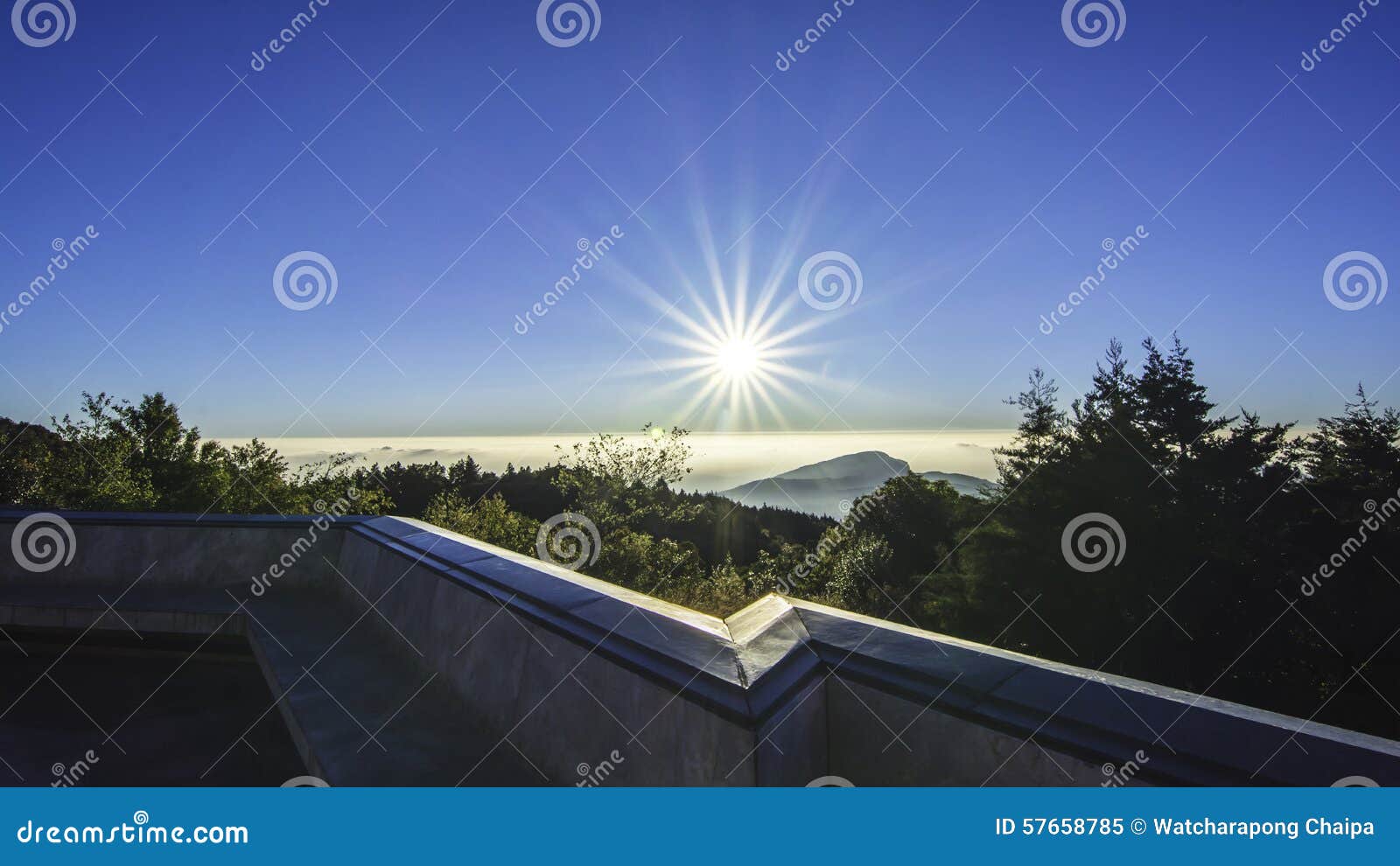 Sun in the morning stock image. Image of garden, morning - 57658785