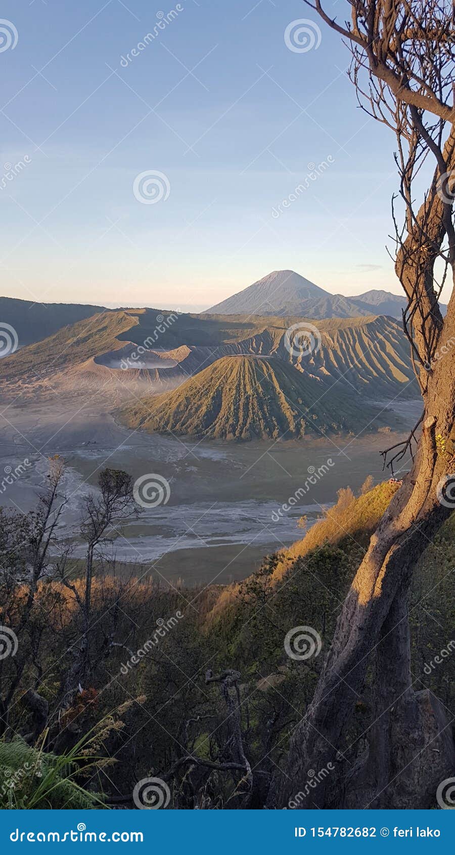 SUN and the MORNING stock photo. Image of shadow, nature - 154782682