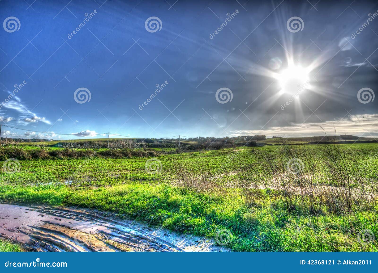 Sun and mud stock image. Image of adventure, grassland - 42368121