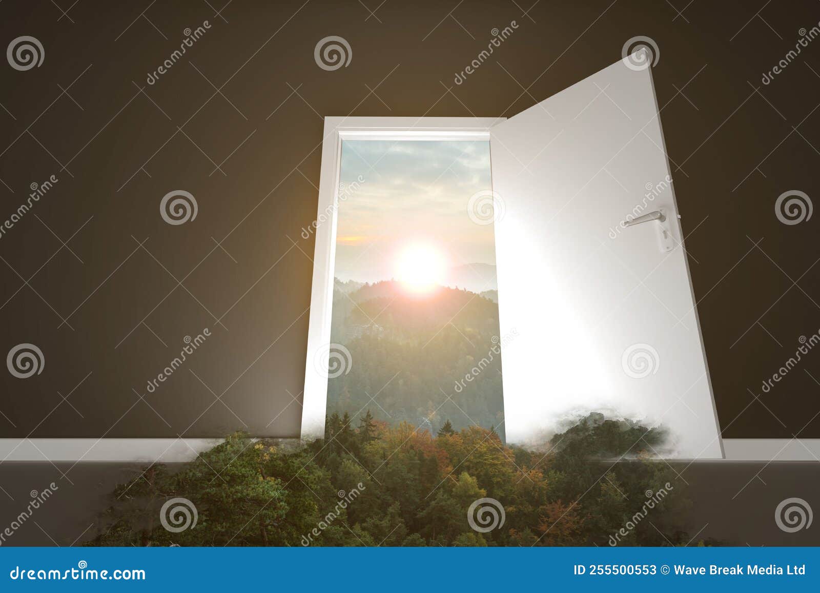 Sun and Nature Seen from Open Door with Trees in House Stock ...