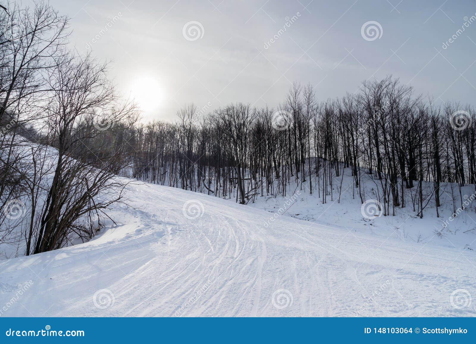 An Empty Ski Run through Bare Trees Stock Photo - Image of early, scene ...