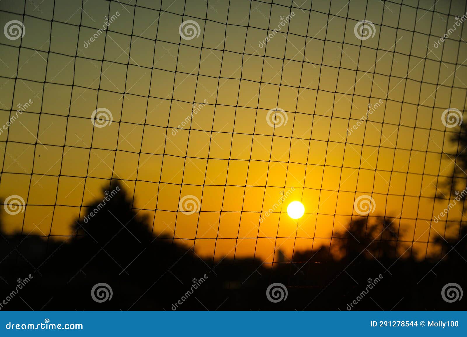 Sun on the net, sunset stock photo. Image of light, symbol - 291278544