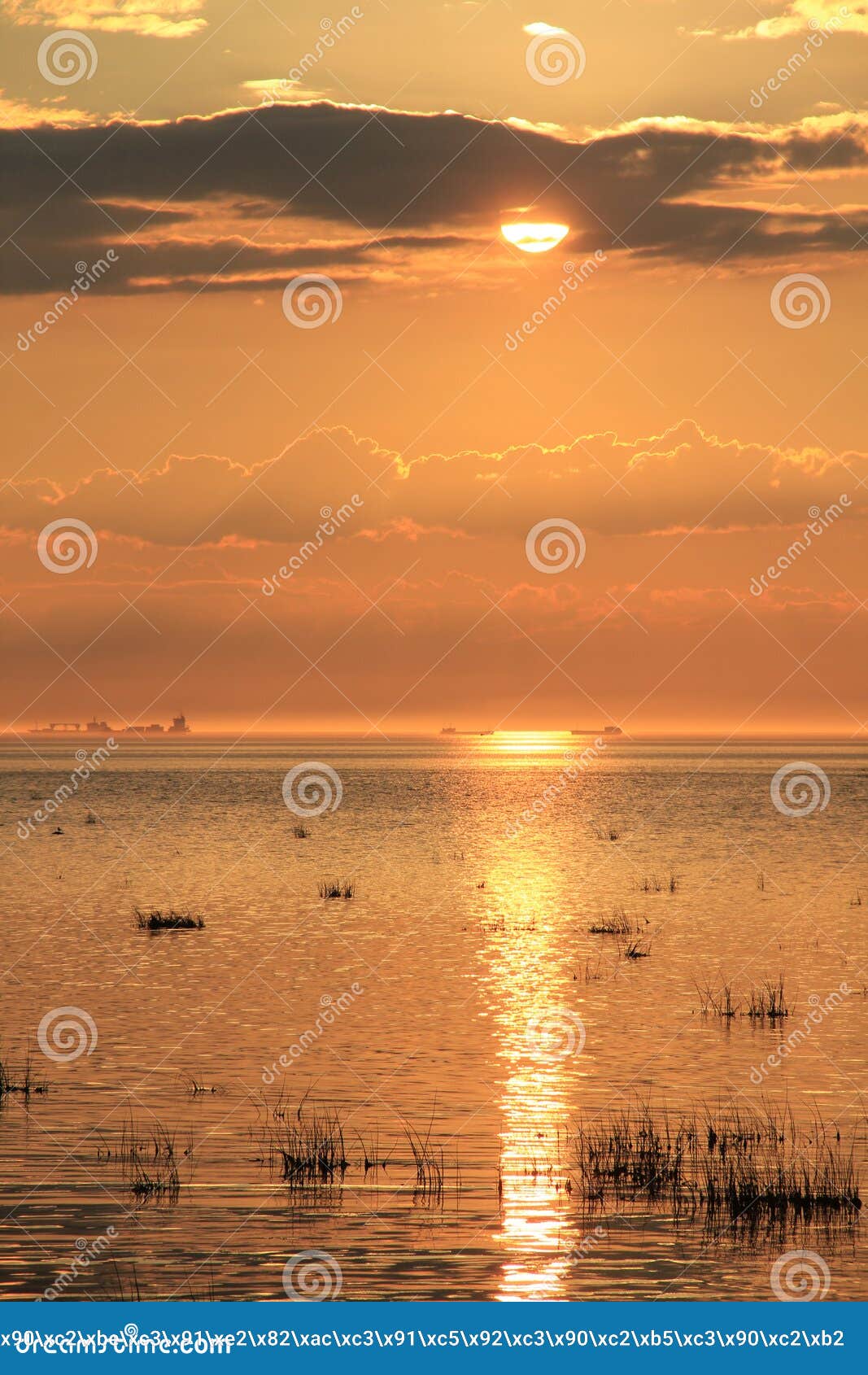 Sun in ocean stock photo. Image of shore, cloudy, dawn - 79435858