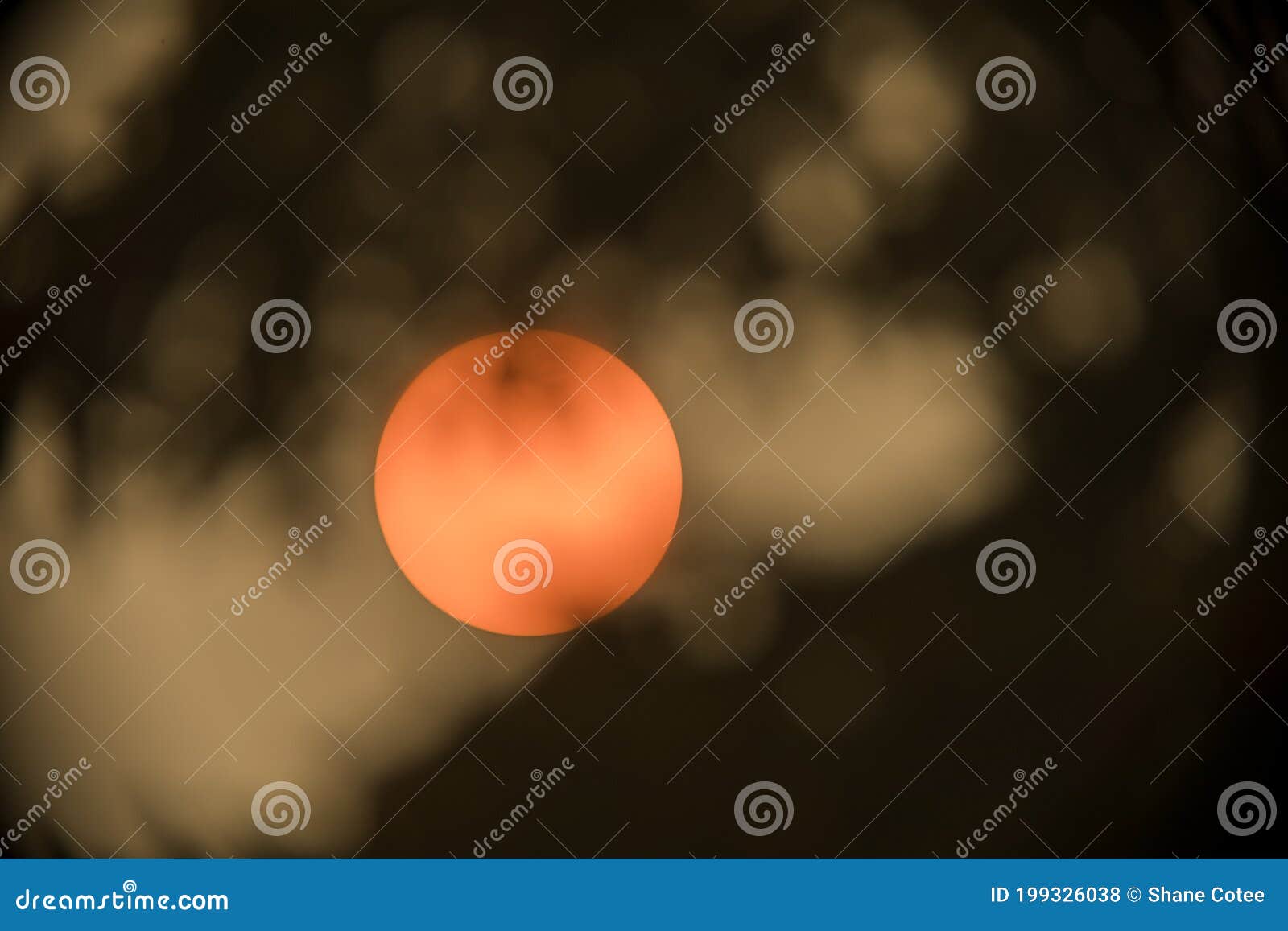 Sun Orb between Tree Branches Stock Photo - Image of spots, fire: 199326038